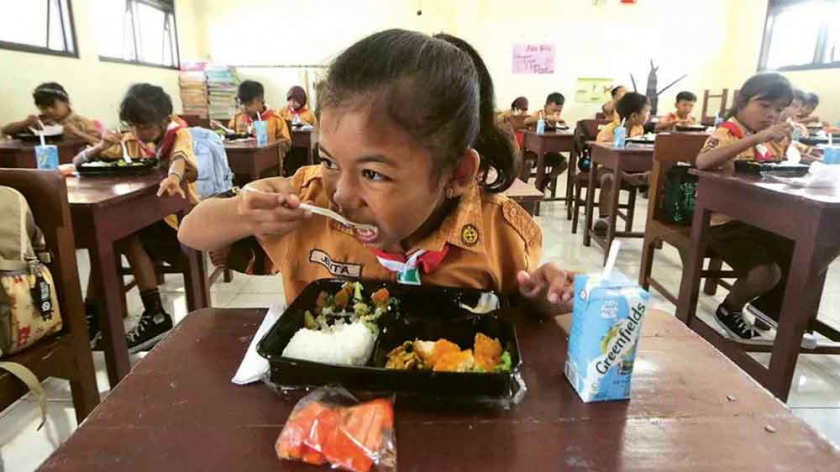 Program Makan Bergizi Gratis: Solusi Gizi Sehat dan PemberdayaanUMKM