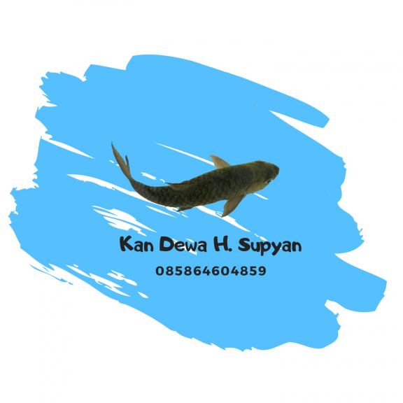 Ikan Dewa Kuningan