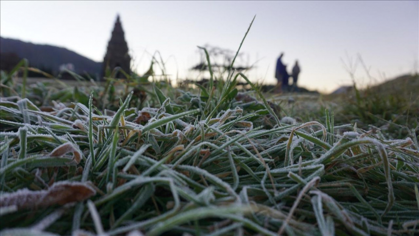 Terjadi Fenomena Embun Beku, Wisatawan di Dieng Meningkat