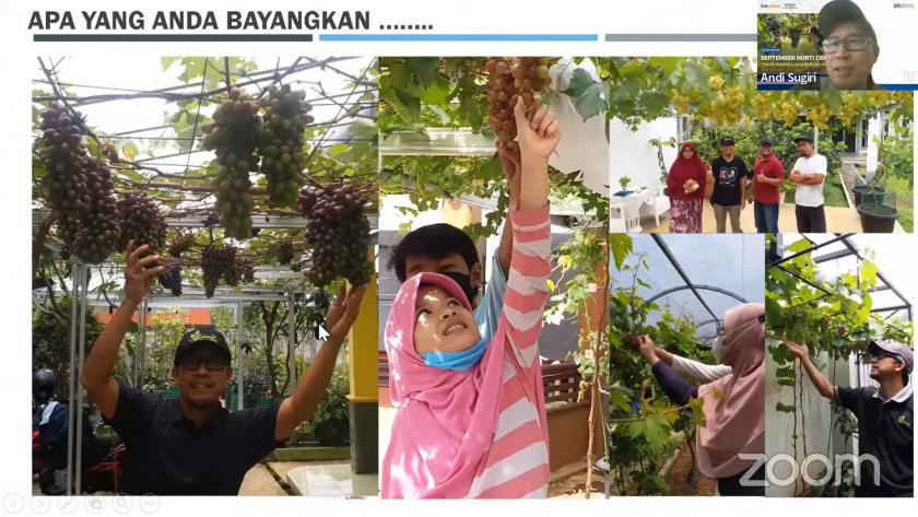 Webinar September Horti Ceria: "Budidaya Anggur Skala Hobi"