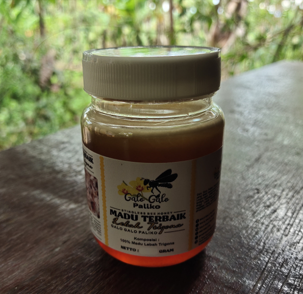 Madu Lebah Trigona